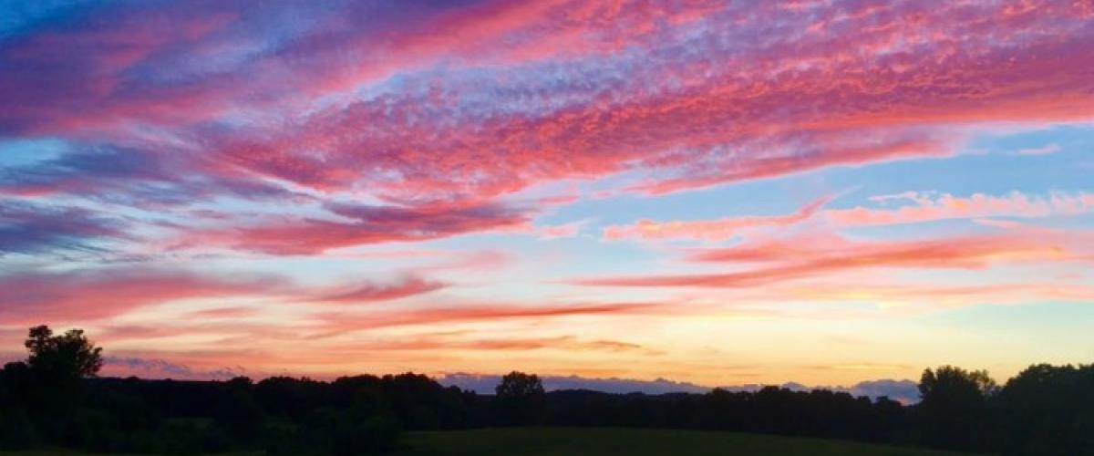 Home | The Barn on Unity Farm